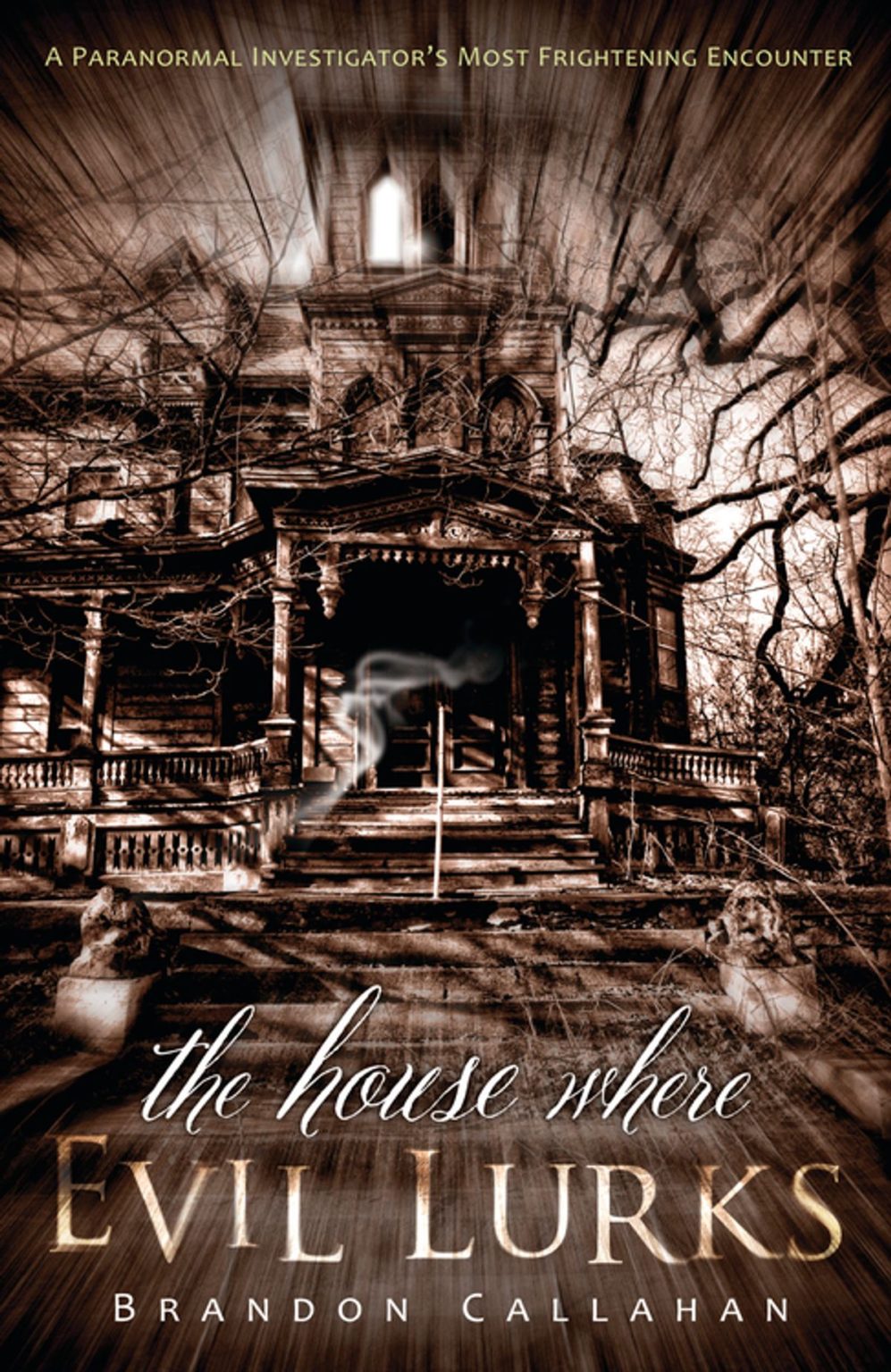 Paranormal Book Review Blog: The House Where Evil Lurks – Horror Book ...